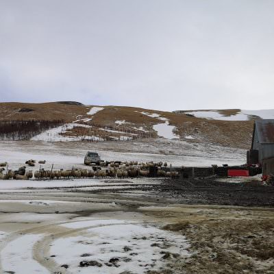 The colors of the Icelandic spring – Icelandic Knitter – Hélène Magnússon