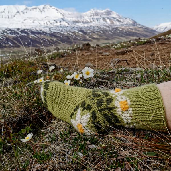 Nordic Sock Box: my Holtasóley socks – Icelandic Knitter – Hélène Magnússon