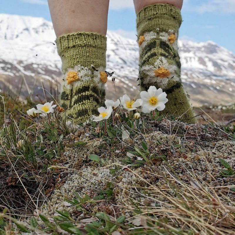 Holtasóley socks – Icelandic Knitter – Hélène Magnússon
